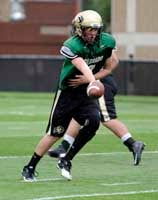 Shane Dillon Profile Photos