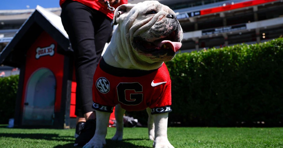 Georgia Bulldogs' Uga named best live mascot by ESPN