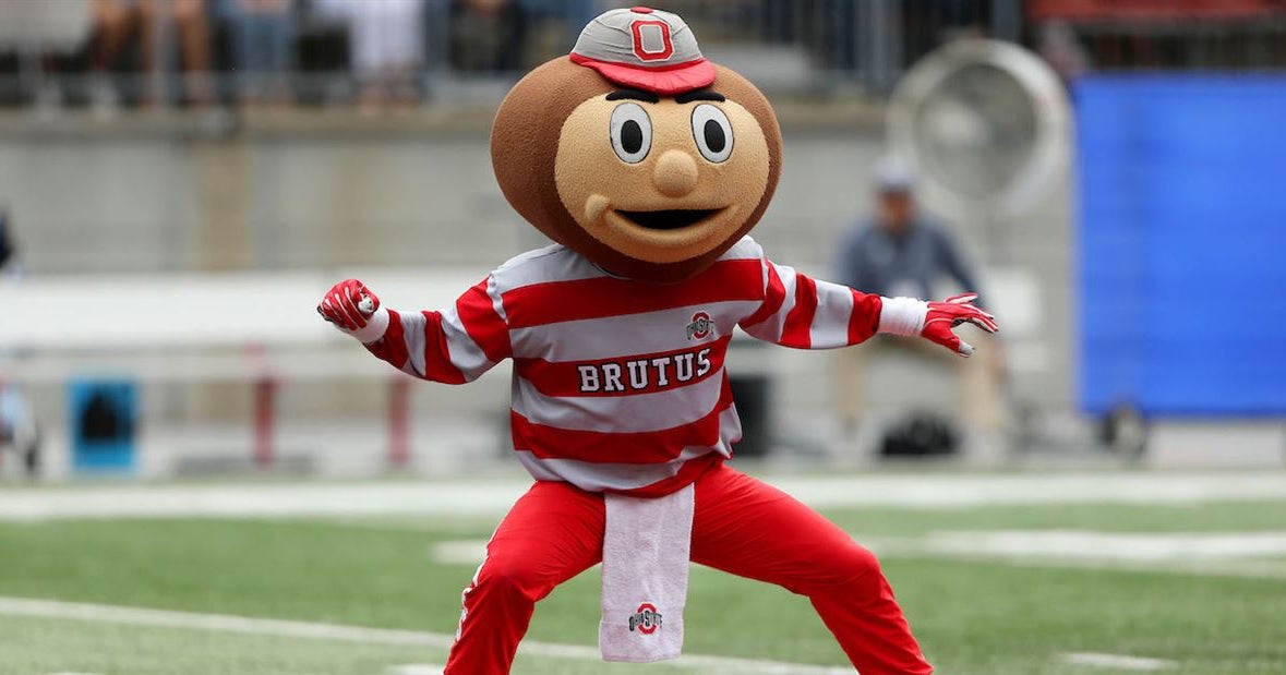 Brutus Buckeye announces he's returning to Ohio State