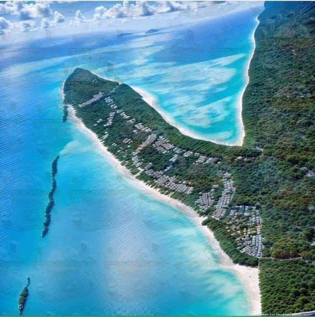 Arkansas transfer Boogie Fland commits to Florida