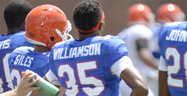 Former UF DB Chris Williamson transfers to Minnesota