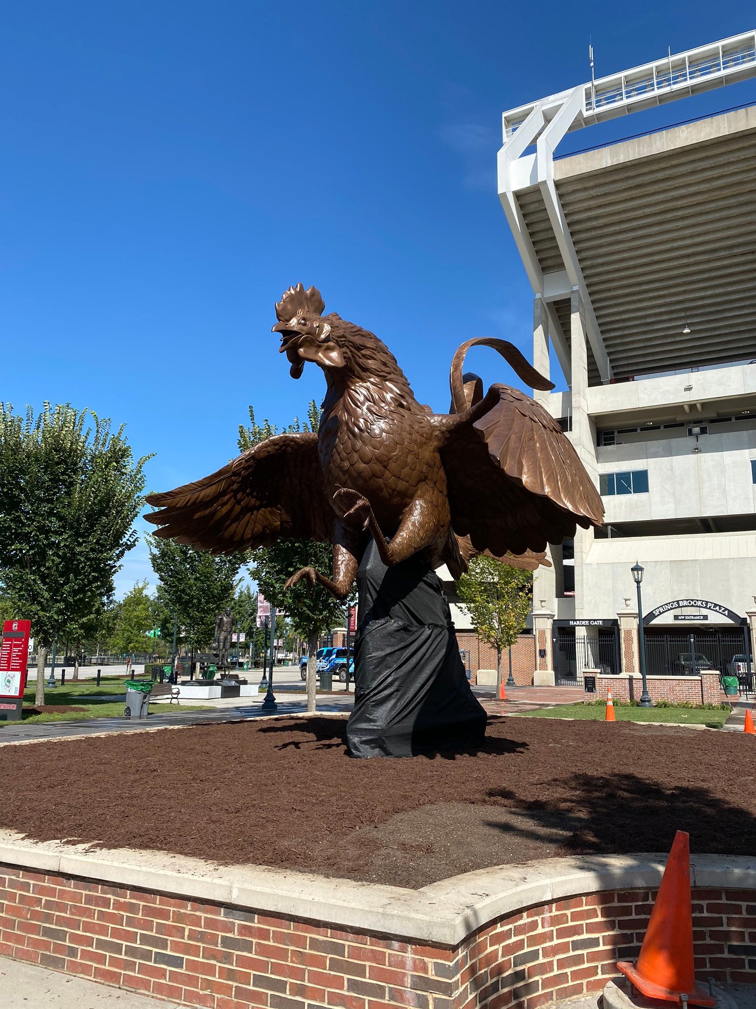 Sorry if missed...but no spurs on new Gamecock sculpture?