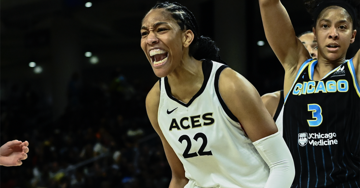 Four former Gamecocks competing in WNBA playoffs