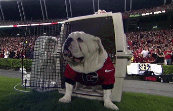 UGA HATE THREAD