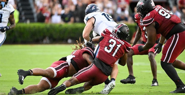 Five Gamecocks who could surprise in 2025