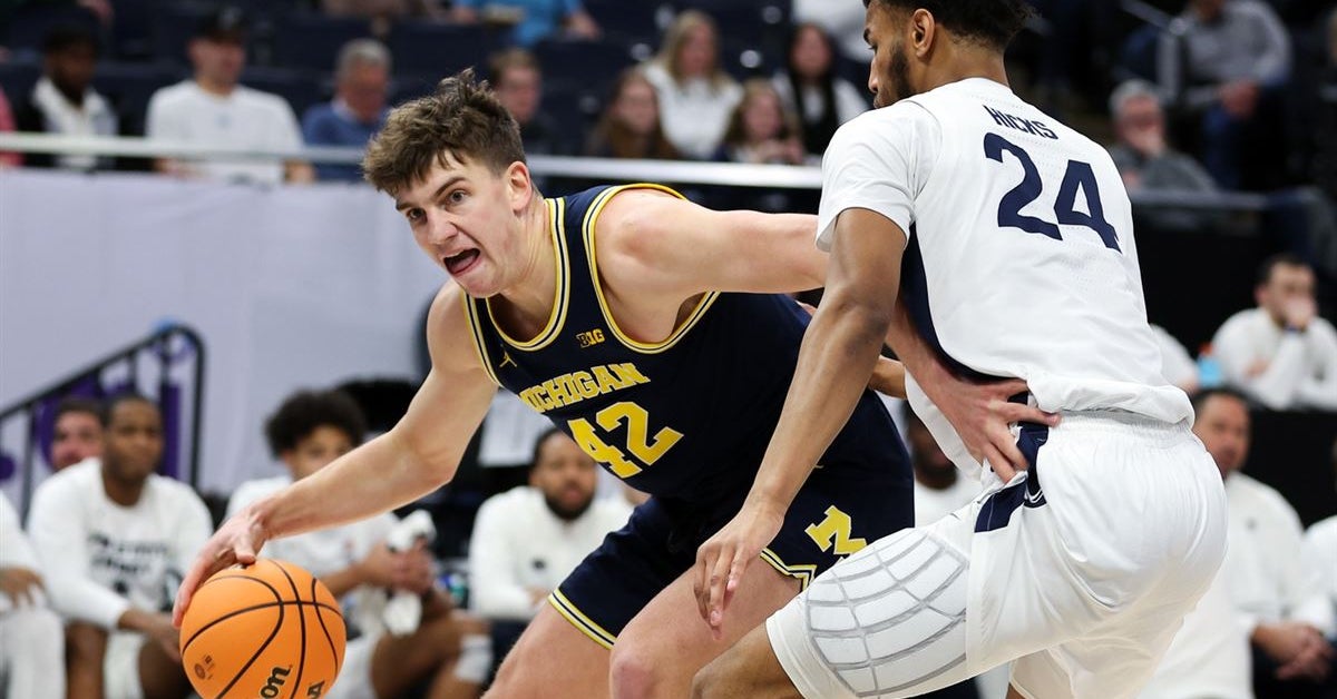 Will Tschetter announces return to Michigan basketball