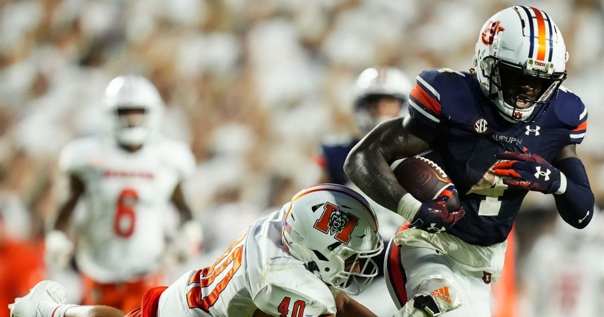 Game overview: Tigers romp, but hard work remains