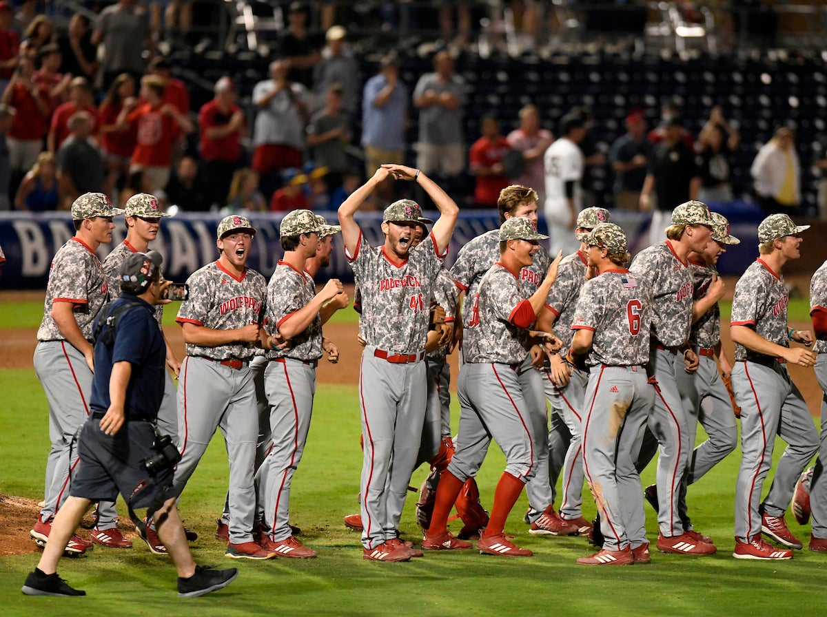 ACC Baseball 2020 Preview