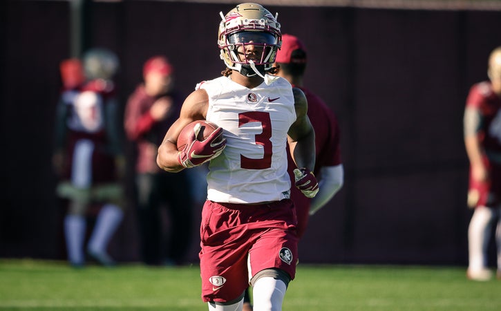 National Signing Day: Former Florida State WR Bryan Robinson continuing ...