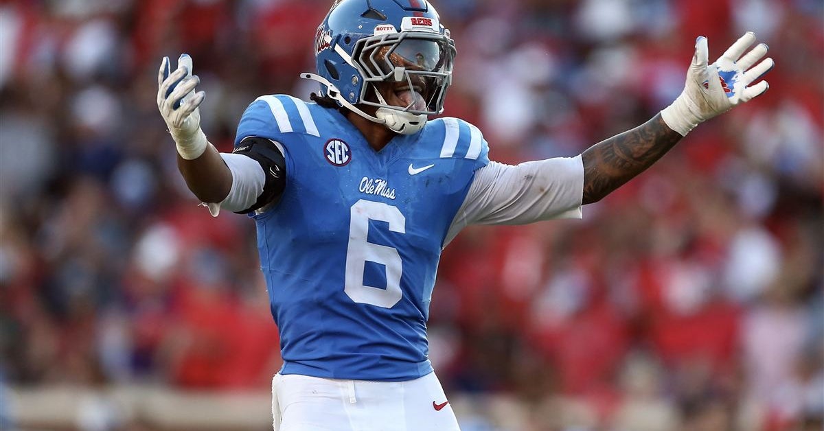 LSU signs veteran linebacker TJ Dottery