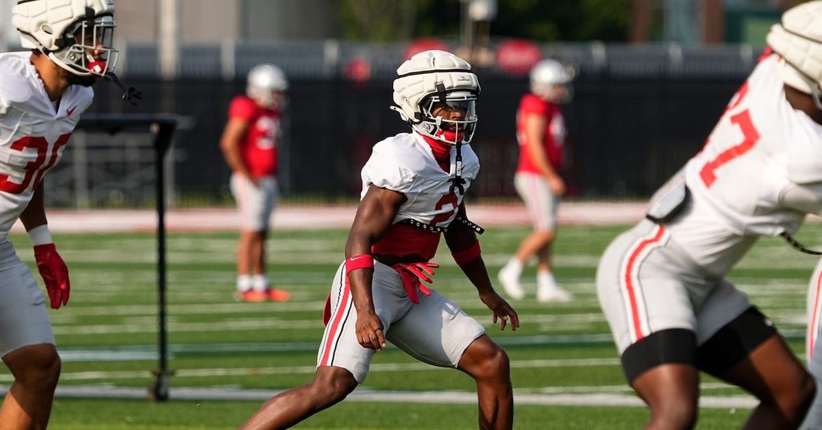 Caleb Downs prepares for first season as a Buckeye