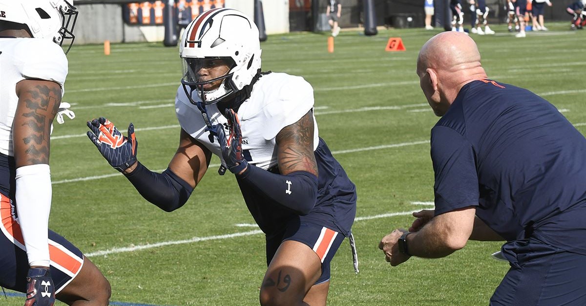 Auburn safety Terrance Love plans to enter transfer portal