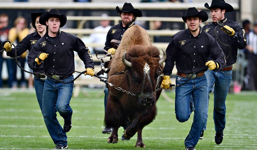 Gallery: The 10 best live mascots in college football