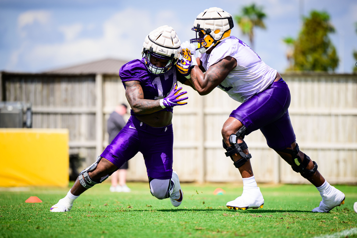 LSU players deserving of a closer look as SEC play begins