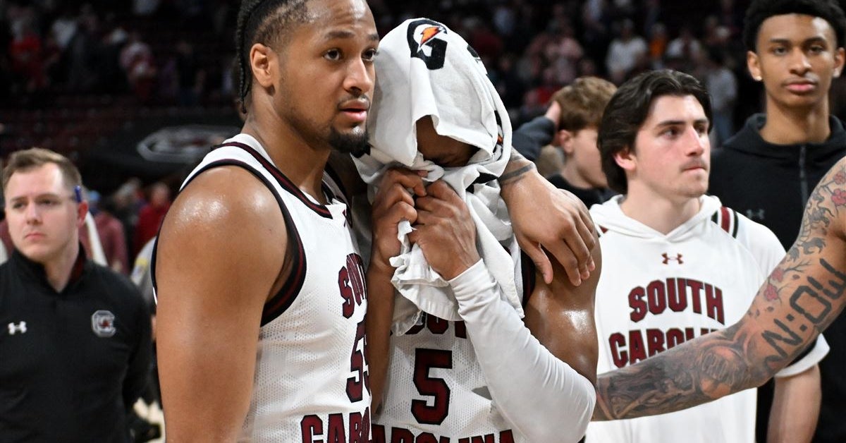 How Minnesota Gopher Basketball transfers did elsewhere in 2024