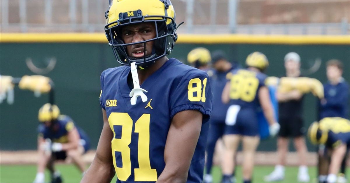 Michigan WR Fredrick Moore on his role as a freshman, 2023 class with ...