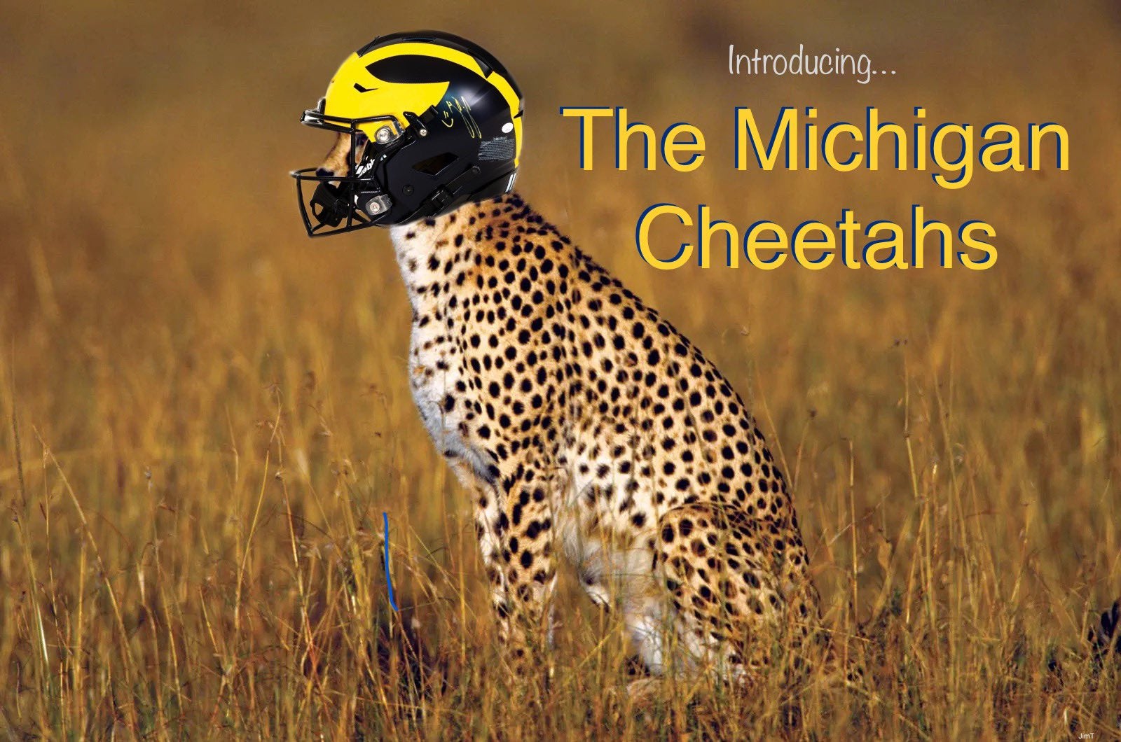 Miami board on Josh Gattis