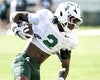 Minnesota earns a transfer commitment from former Auburn receiver Perry ...