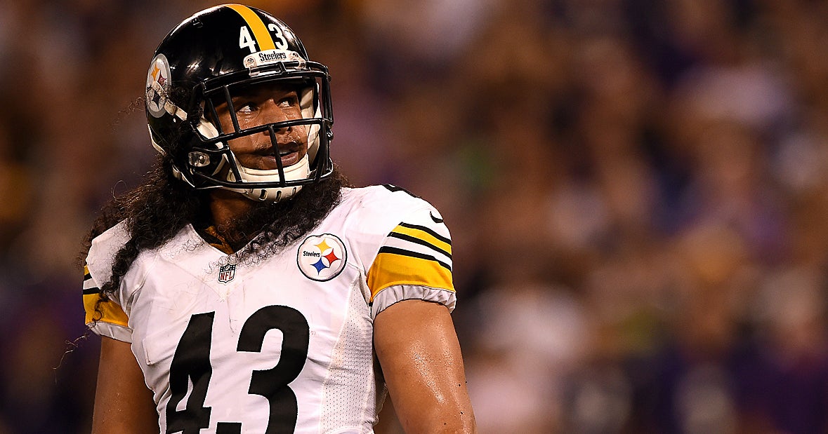 WATCH: Troy Polamalu wreak havoc on offenses in highlight film