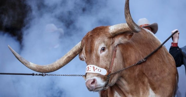 Texas mascot Bevo banned from Peach Bowl after appearing in home ...