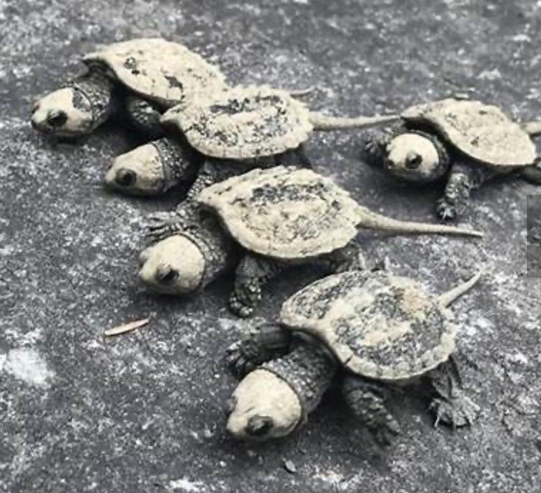 Corny phrases/cliches you use regularly