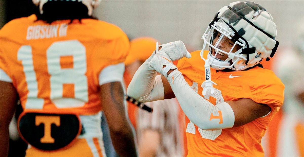 Former wideout Jermod McCoy working to cash in ‘my ticket’ as transfer ...