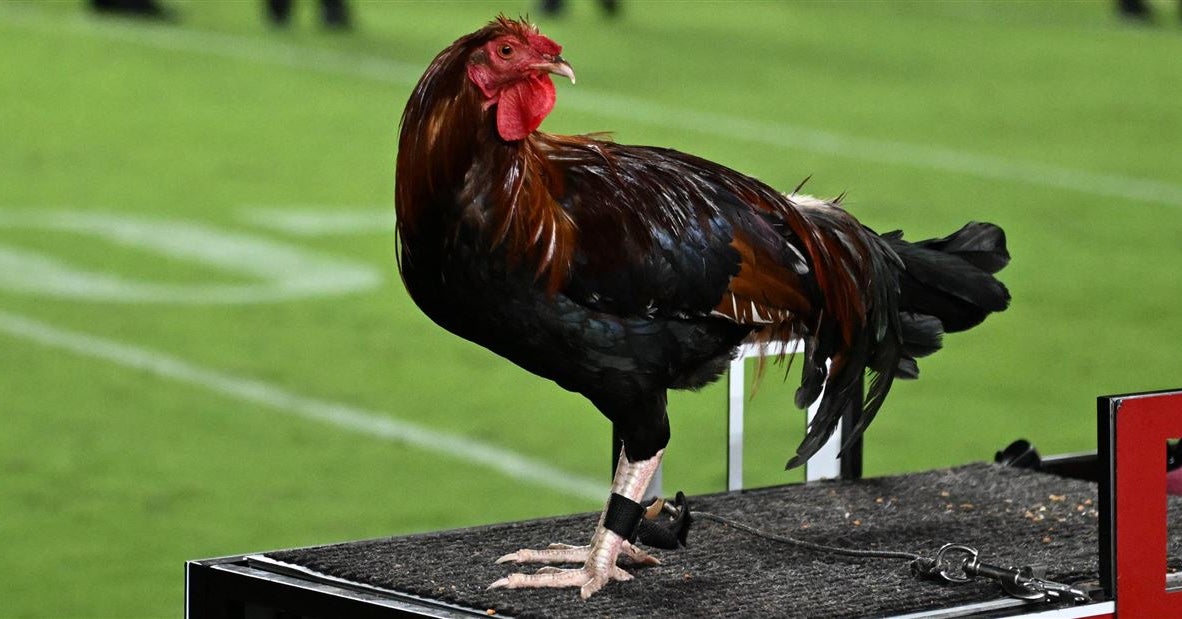 Today in Orlando: December 26