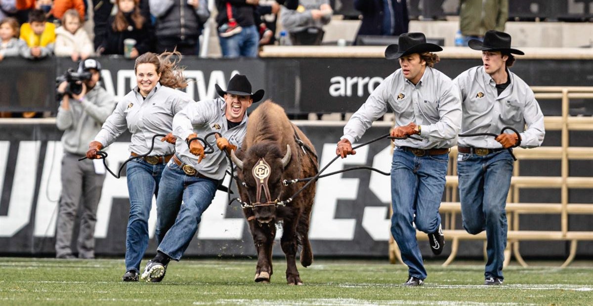 Help give Ralphie VI her nickname