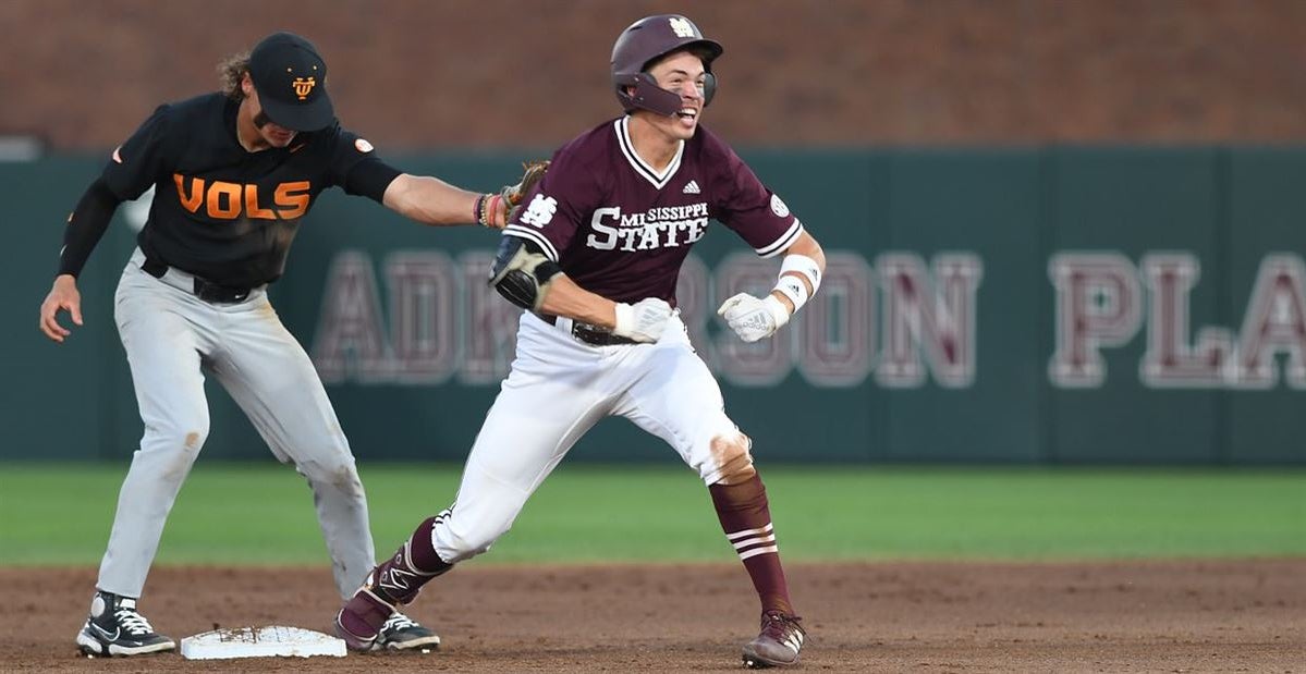 Diamond Dogs in the summer, July 9