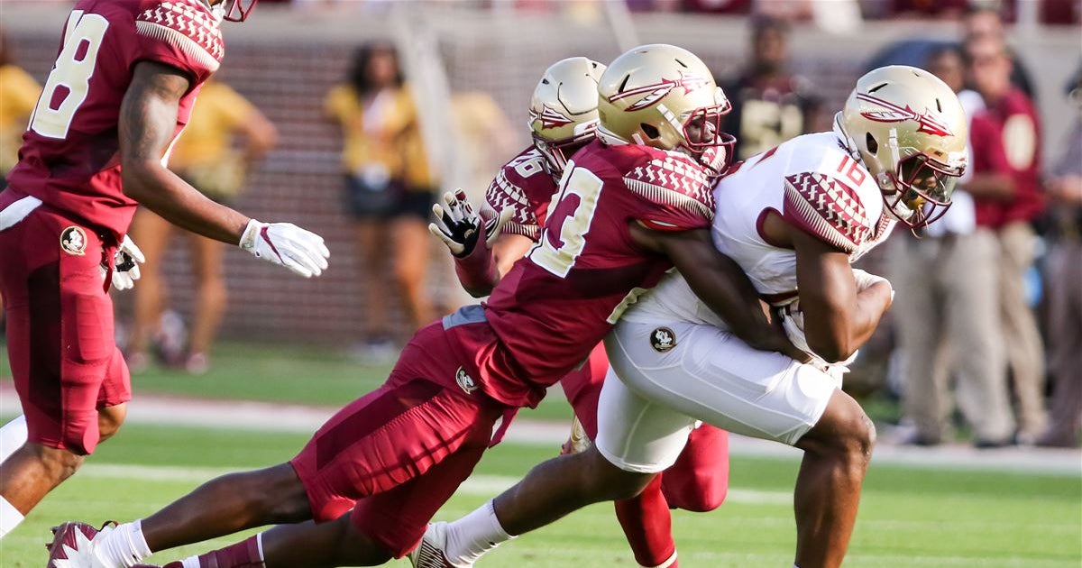 FSU’s 40 Most Important Players: S Hamsah Nasirildeen, No. 24 FSU’s 40 Most Important Players: S Hamsah Nasirildeen, No. 24
