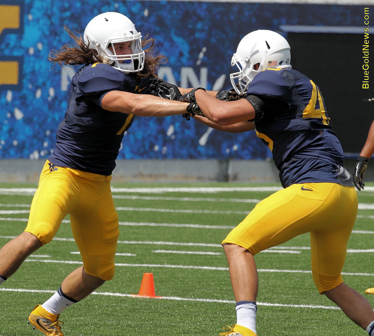 WVU Fall Football Photo Gallery V