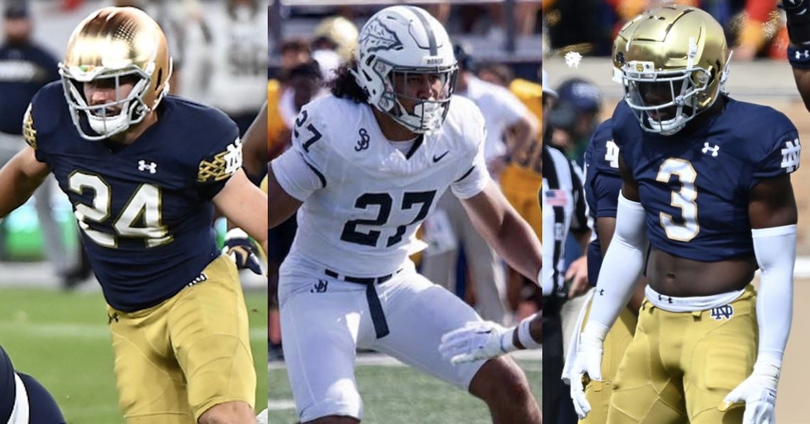 State of the Irish: Linebackers 2023 to 2024