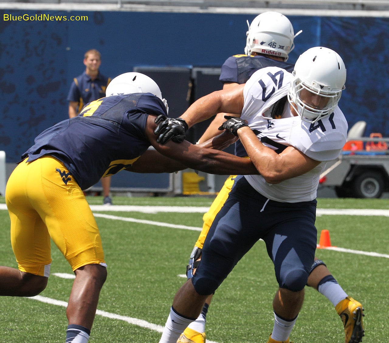 WVU Fall Football Photo Gallery V