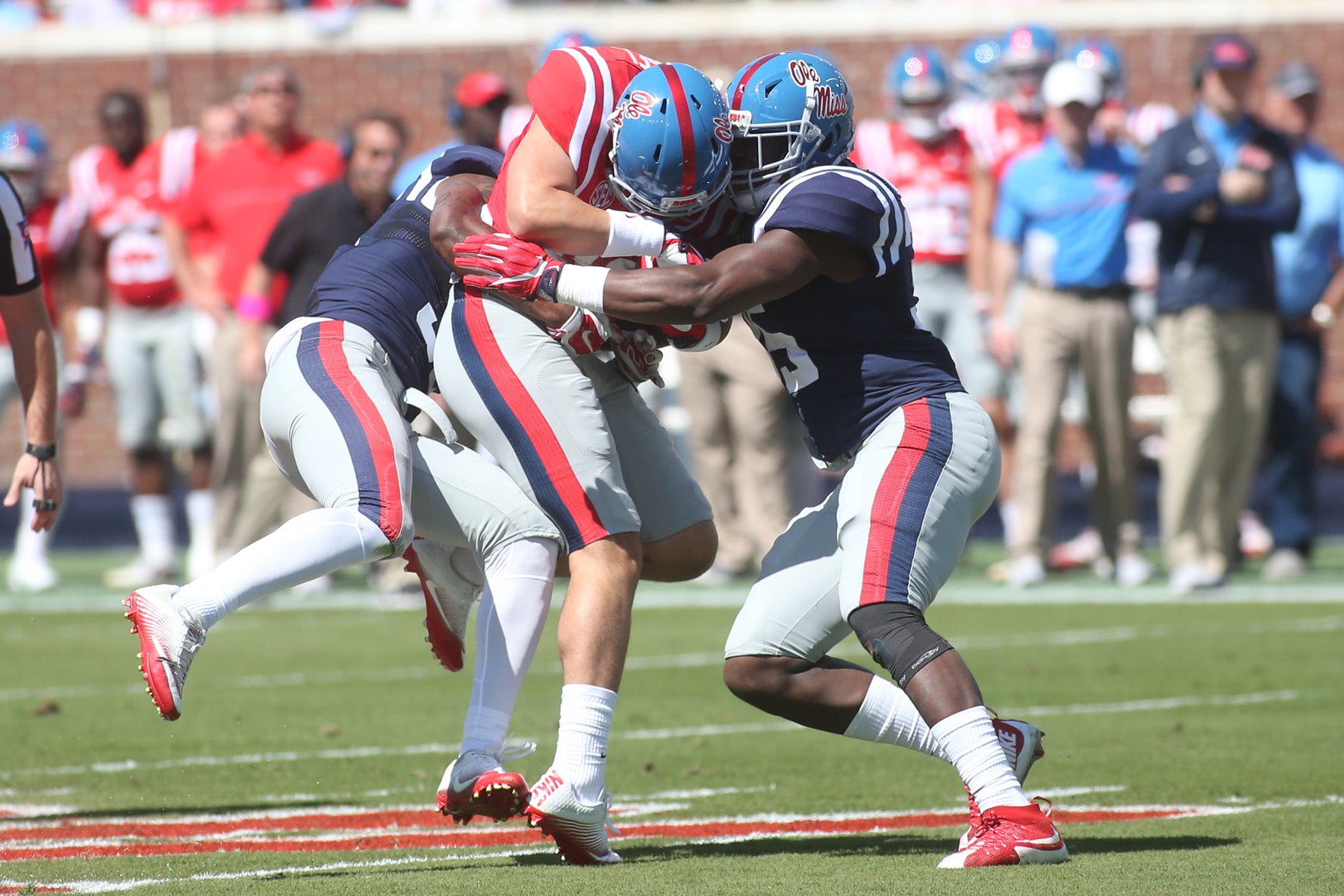 Grove Bowl: Photo Gallery I