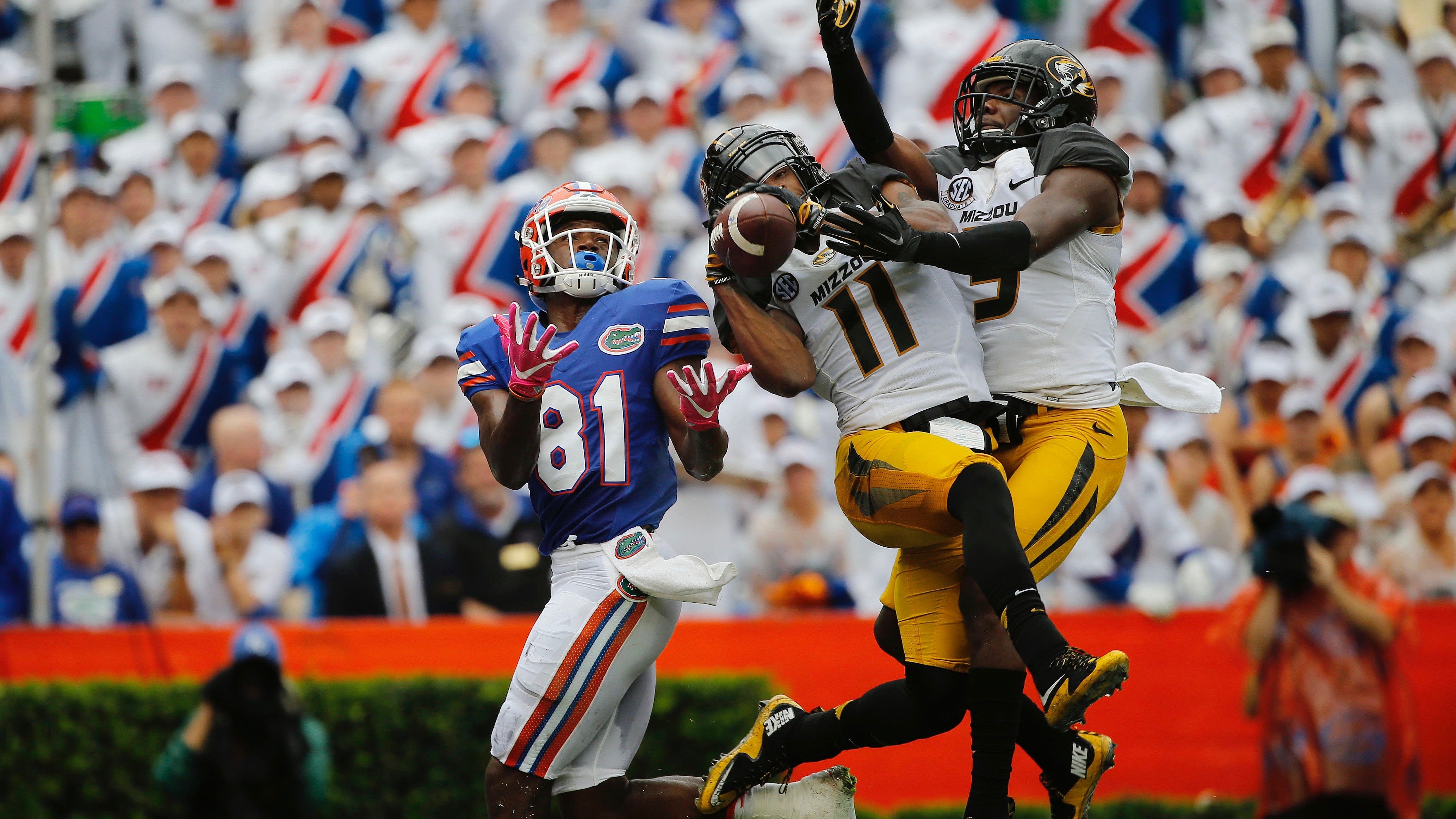 Photo Gallery: Missouri at Florida