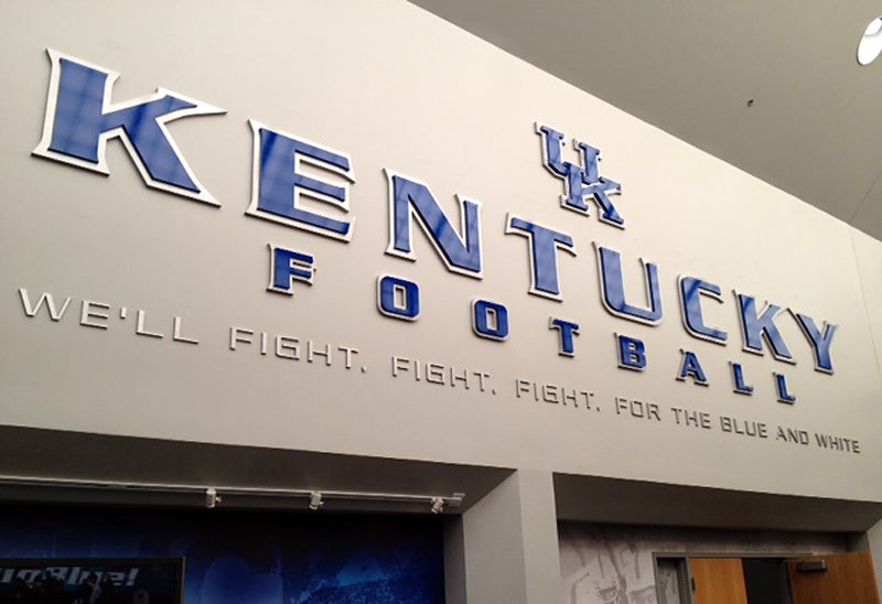 Try CatsPause.com FREE today!