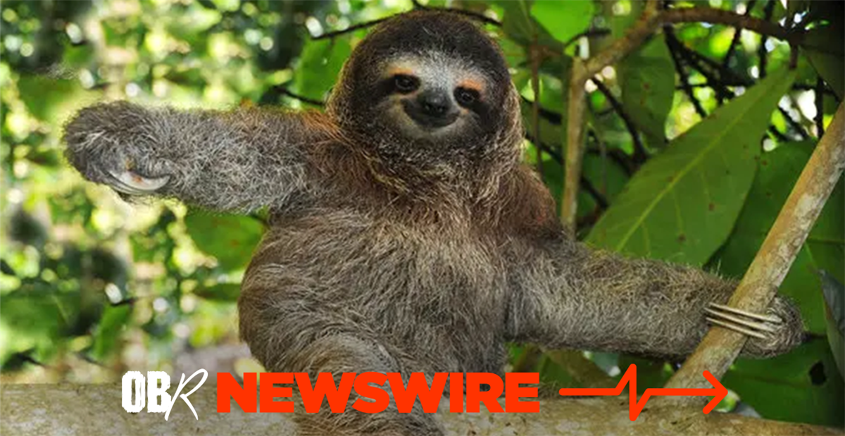 Cleveland Browns News and Rumors 7/18: Bogus Browns Rumors, Three-Toed ...