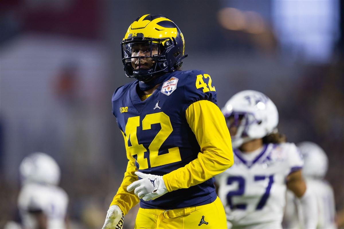 Michigan younger defensive linemen, edges aim to offer depth in 2024 ...