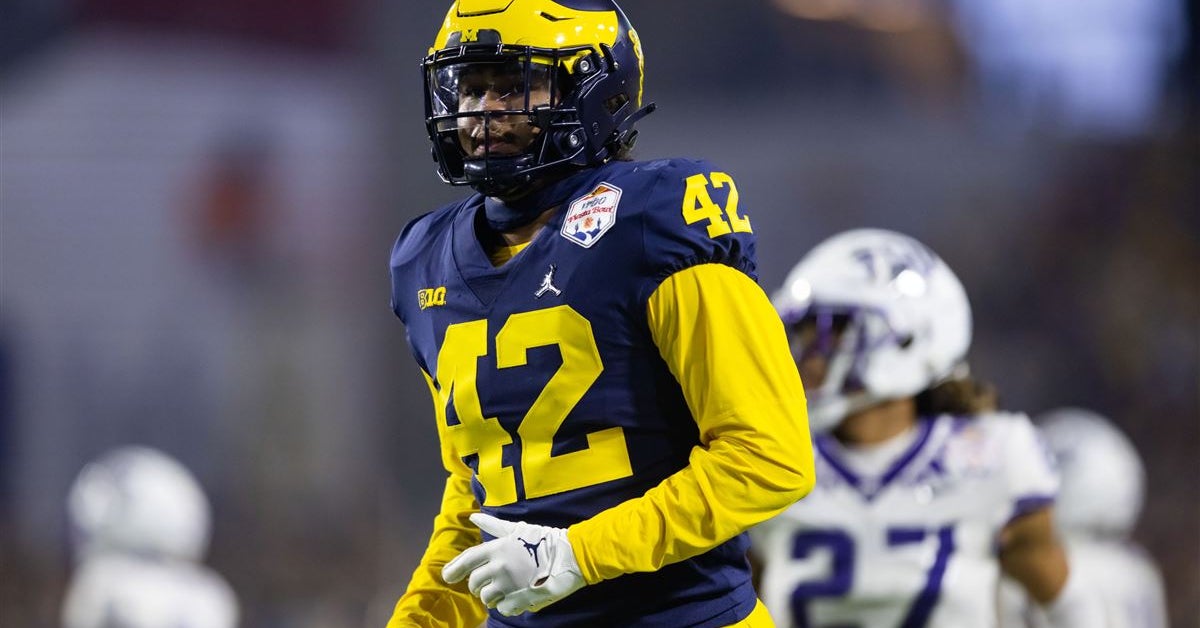 Michigan younger defensive linemen, edges aim to offer depth in 2024 ...