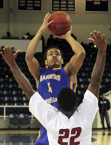 Anton Beard Photos