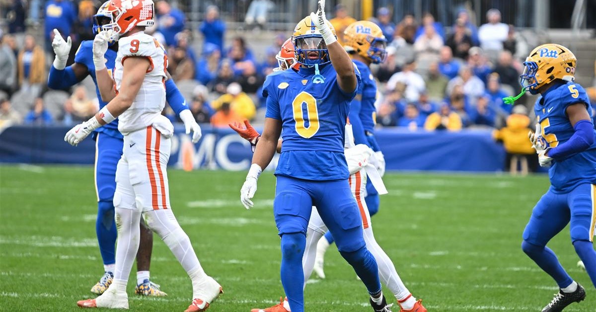 Pitt's Sharks look forward to having a target on their backs