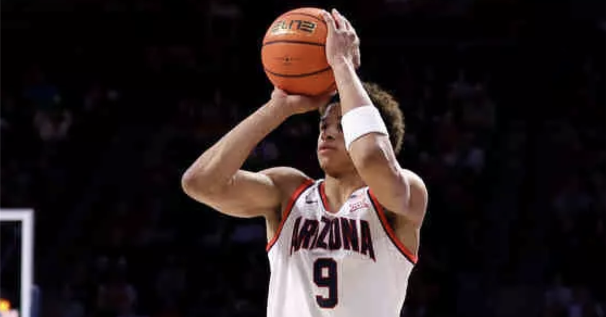 Carter Bryant reflects on freshman season at Arizona