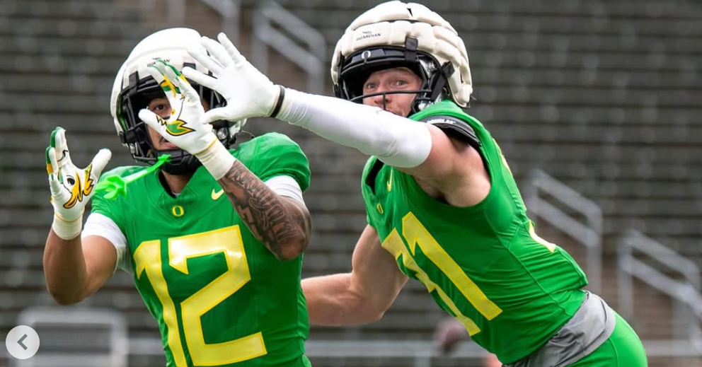 Oregon S Dillon Thieneman among 2026 NFL Draft sleepers, possesses ...