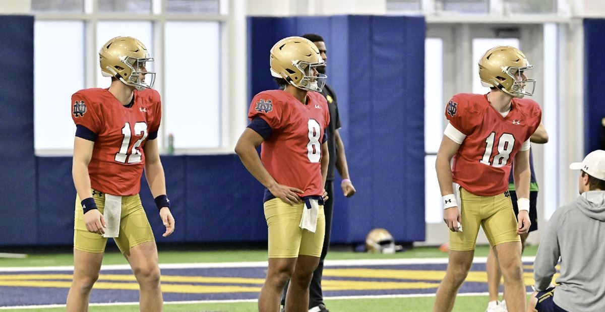 Jump Shots, Small Windows, and Total Transparency: Gino Guidugli’s ...