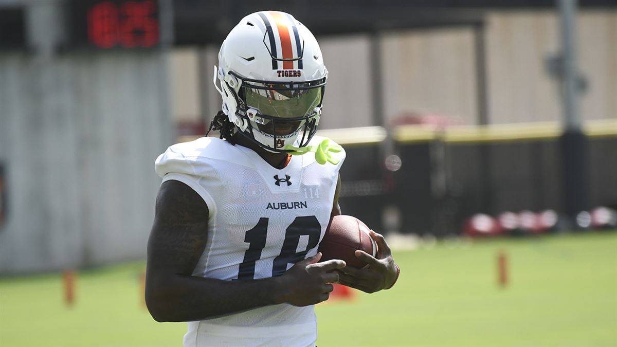 IN PHOTOS: Auburn preseason practice gallery 2