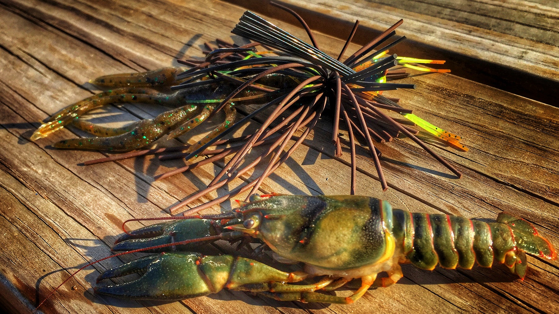 Jig Fishing Crawfish