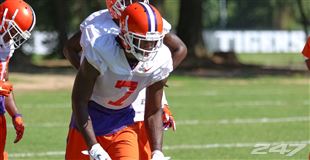 Mike Williams, Clemson, Wide Receiver