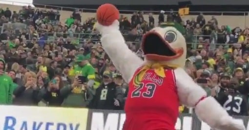 LOOK: Oregon Duck honors Michael Jordan with pregame dunk