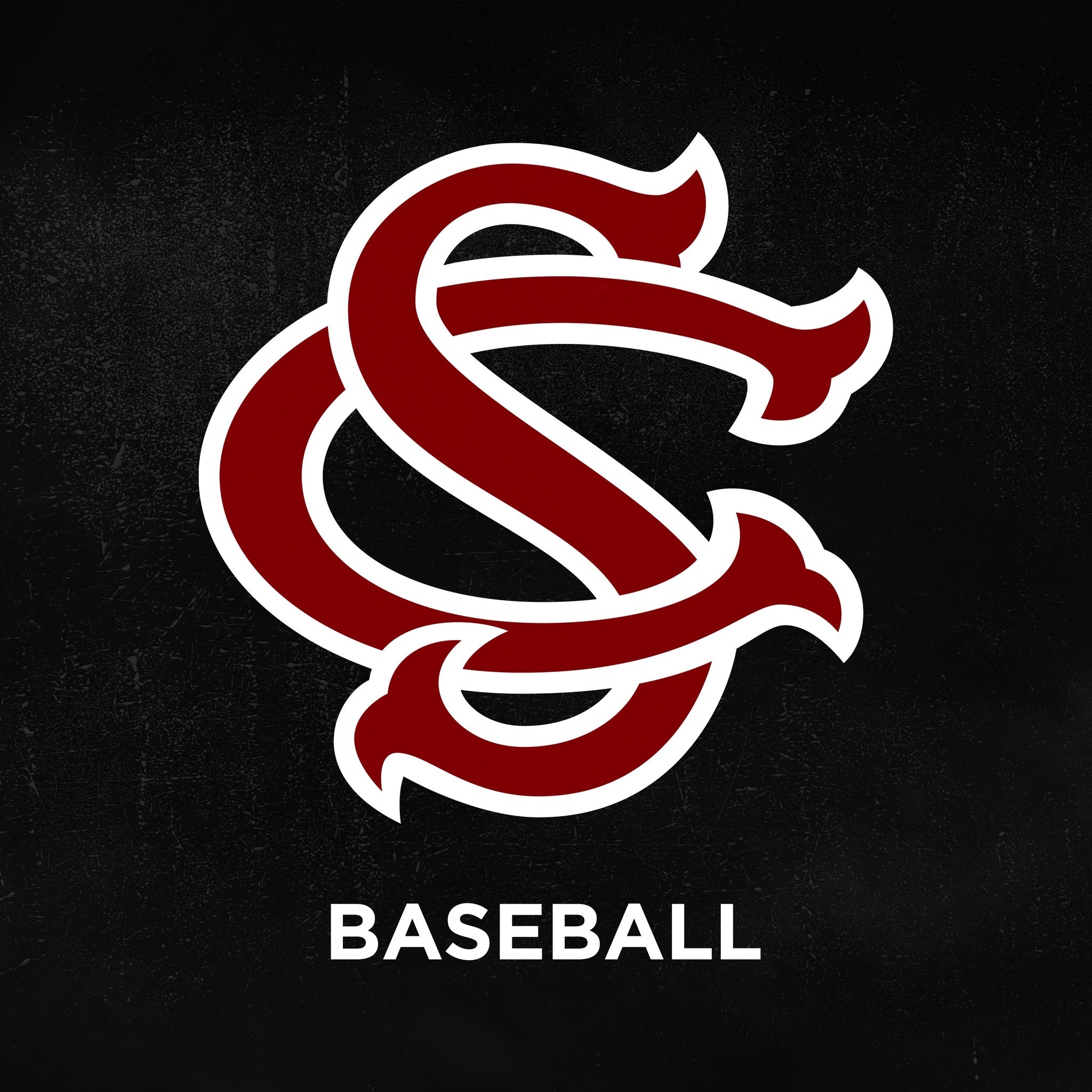 SC baseball logo