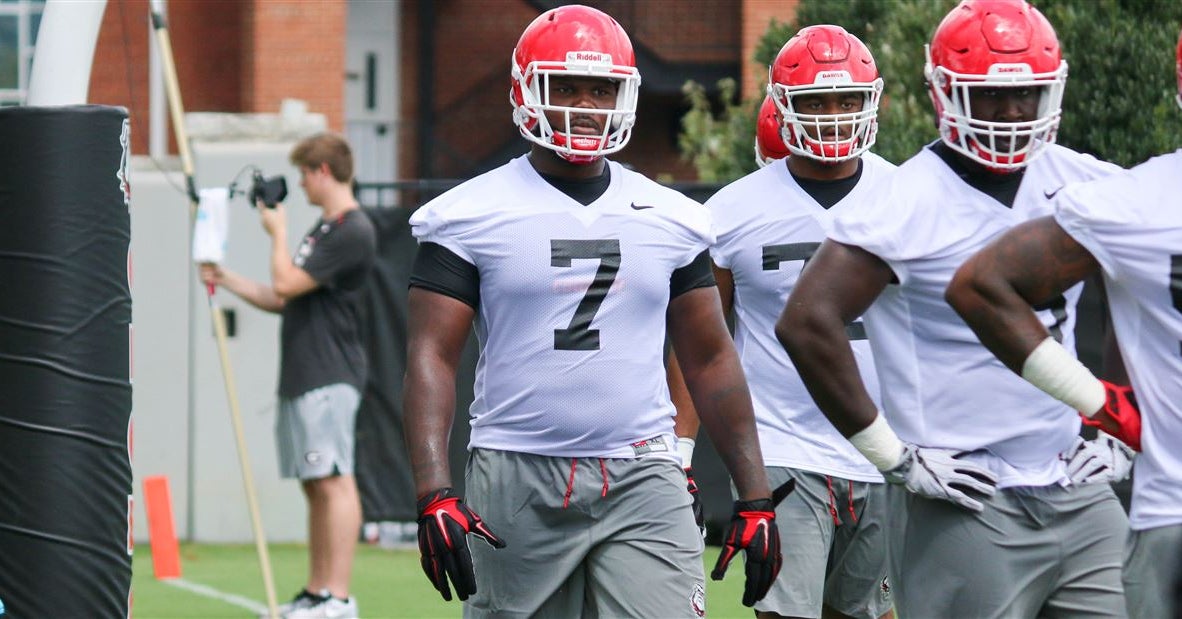 Jay Hayes addition 'like gold' for Georgia defense